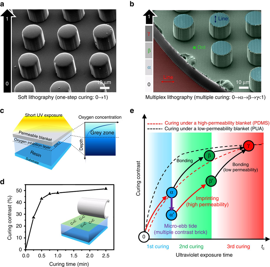 Multiplex lithography for multilevel multiscale architectures and its ...