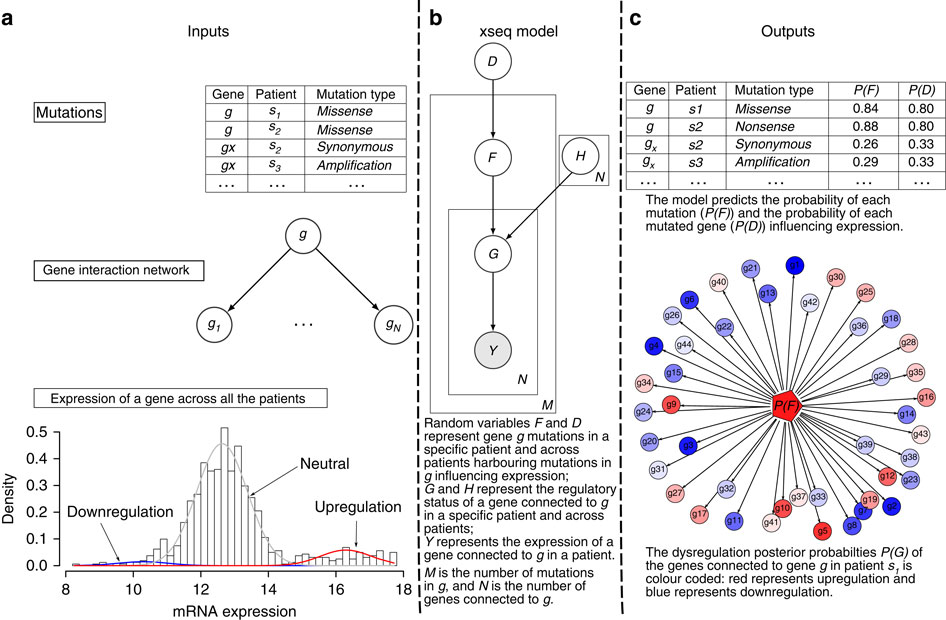 Systematic analysis of somatic mutations impacting gene expression in ...