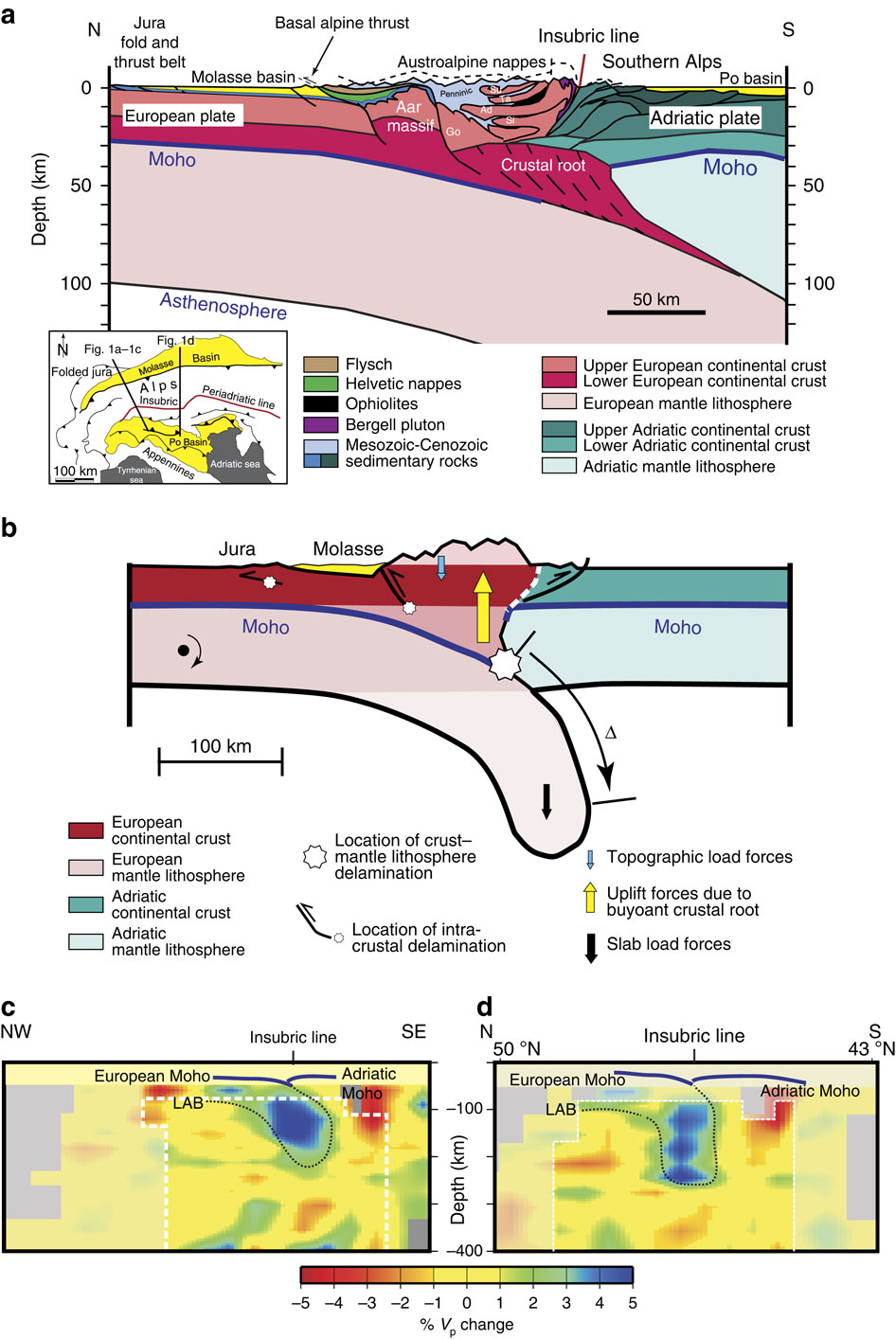 Slab rollback orogeny in the Alps and evolution of the Swiss Molasse ...