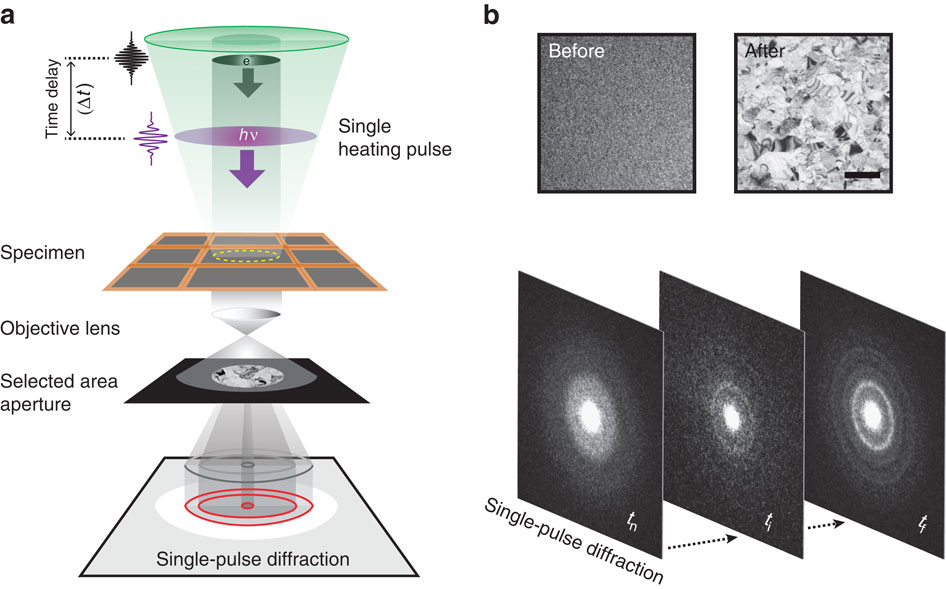 Observing in space and time the ephemeral nucleation of liquid-to ...