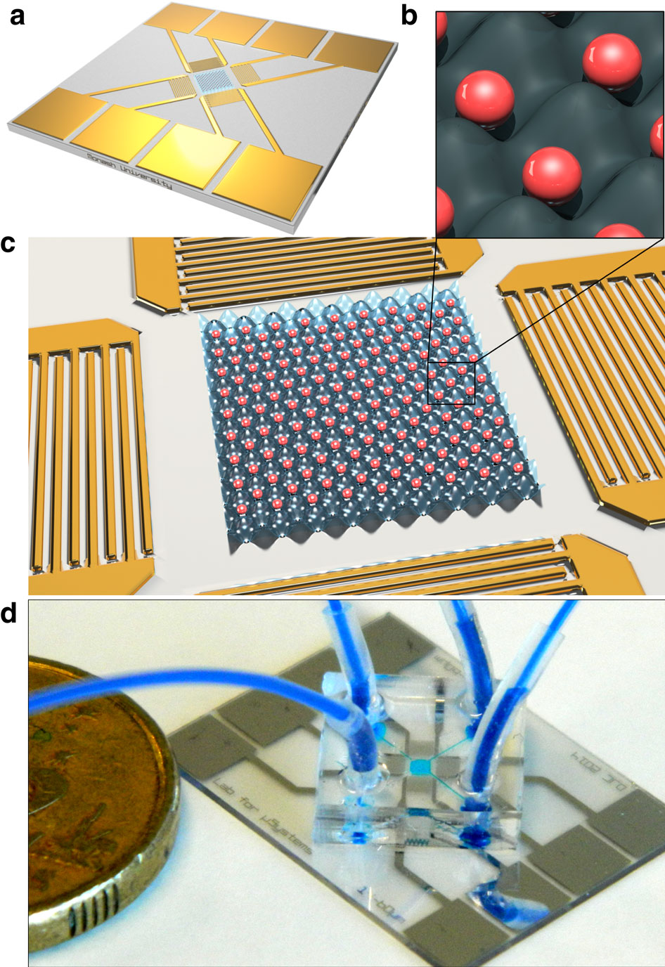 Two-dimensional single-cell patterning with one cell per well driven by ...