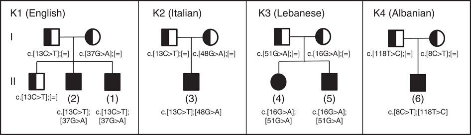 Compound heterozygous mutations in the noncoding RNU4ATAC cause Roifman ...