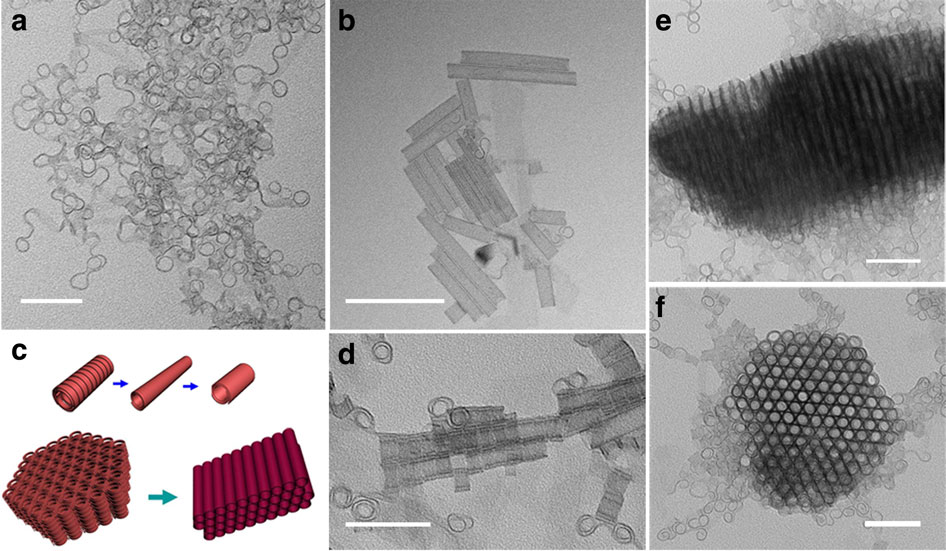 General synthesis of inorganic single-walled nanotubes.,Nature ...