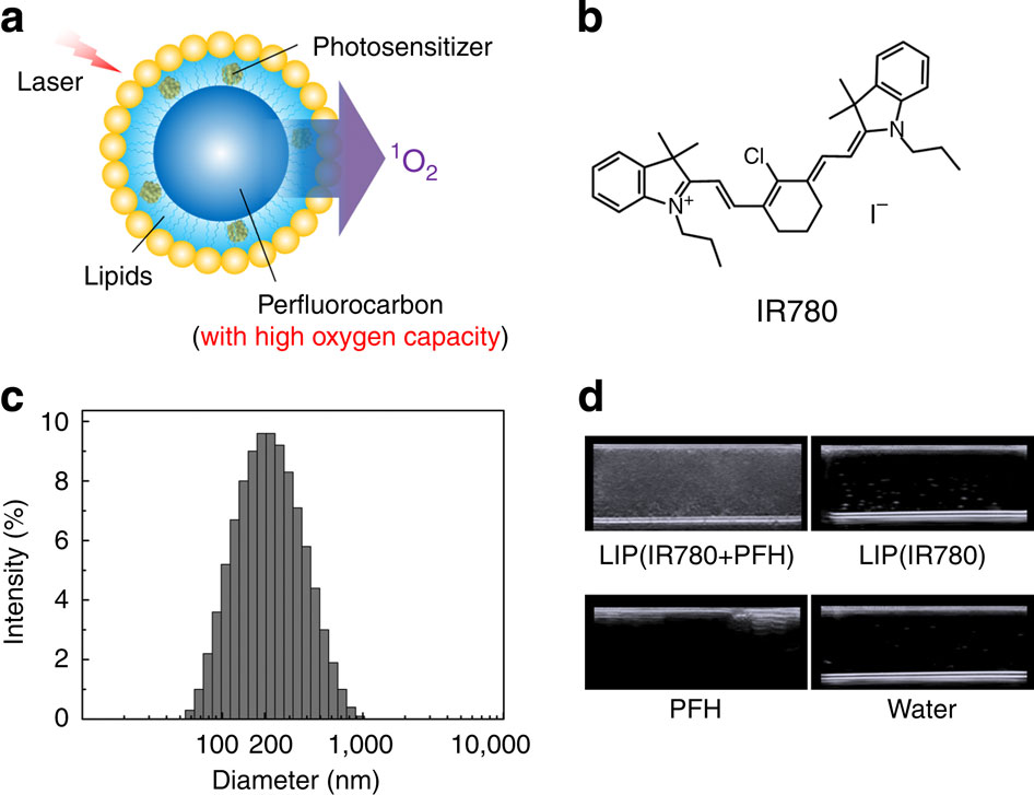 Perfluorocarbon nanoparticles enhance reactive oxygen levels and tumour ...