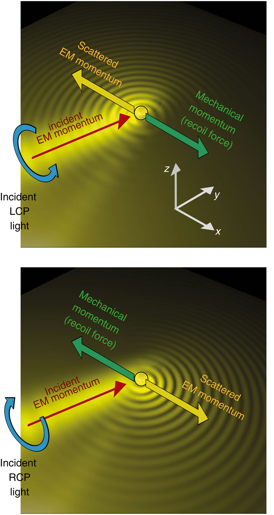 Lateral forces on circularly polarizable particles near a surface ...