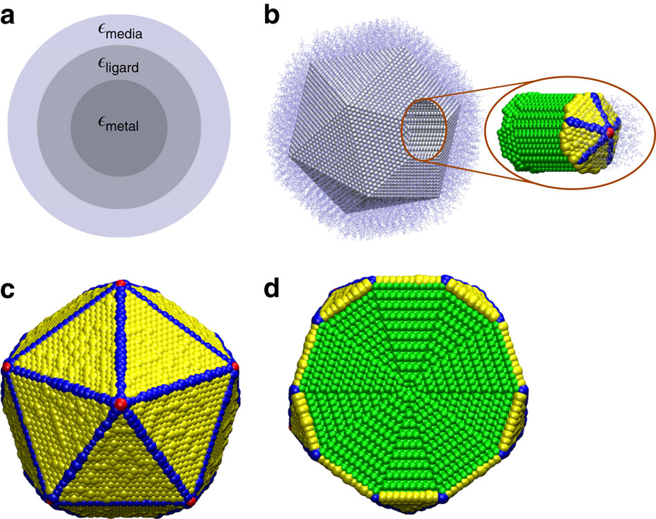 Atomistic electrodynamics simulations of bare and ligand-coated nanoparticles in the quantum ...