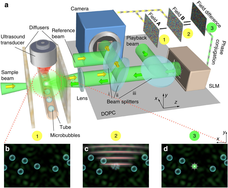 Optical focusing inside scattering media with time-reversed ultrasound ...