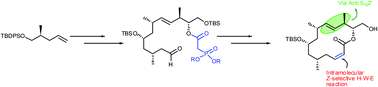 Synthetic studies of callyspongiolide: synthesis of the macrolactone ...