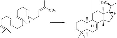Stereochemical investigations of the Tetrahymena cyclase, a model ...