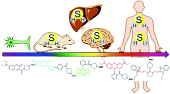 Thiolysis of NBD-based dyes for colorimetric and fluorescence detection ...