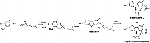 Total Synthesis of 7-Hydroxymurrayazolinine, Murrayamine D, and ...