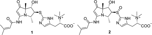 Spithioneines A 和 B，两种新的波西米明衍生物，具有来自海洋来源的 Streptomyces spinoverrucosus ...