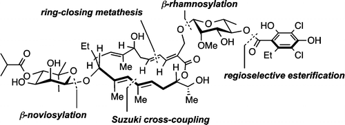 Total Synthesis of the Glycosylated Macrolide Antibiotic Fidaxomicin ...