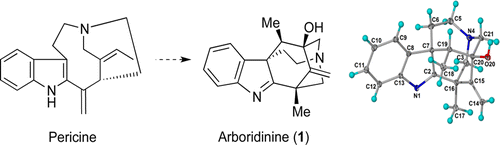 Arboridinine, a Pentacyclic Indole Alkaloid with a New Cage Carbon ...