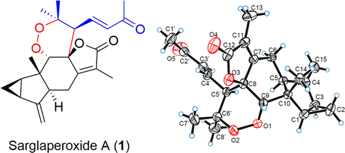 Sarglaperoxides A and B, Sesquiterpene–Normonoterpene Conjugates with a ...