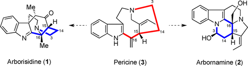 Arborisidine and Arbornamine, Two Monoterpenoid Indole Alkaloids with ...