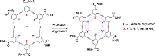Hexakis(m-phenylene ethynylene) Macrocycles with Multiple H-Bonding ...