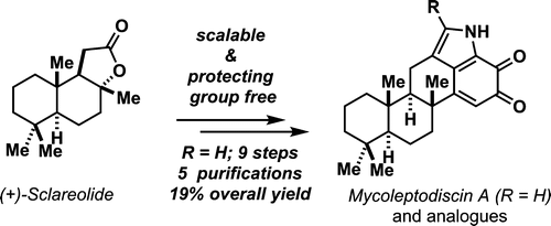 Expanding Diversity without Protecting Groups: (+)-Sclareolide to ...