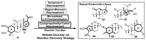 通过反应发现策略从hemslecin A合成具有骨架多样性的小分子文库,Organic Letters - X-MOL
