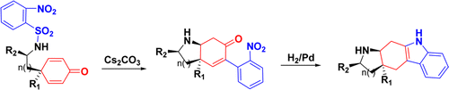 在Michael / Smiles串联过程的应用中使用Nosyl基团作为功能性保护基团,Organic Letters - X-MOL
