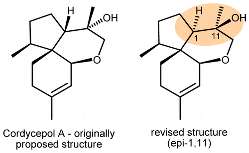 Structure Revision of an Acorane Sesquiterpene Cordycepol A,Organic ...