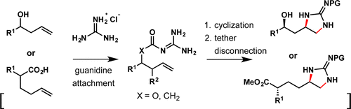 Stereoselective Synthesis of Cyclic Guanidines by Directed Diamination ...
