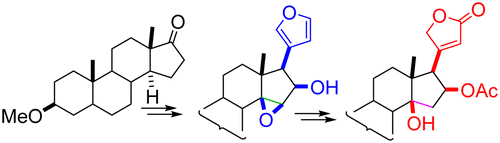Synthetic Approach to the Core Structure of Oleandrin and Related ...