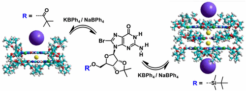 Thermodynamic and Kinetic Stabilities of G-Quadruplexes in Apolar ...