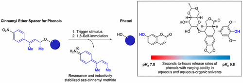 Stability, Kinetic, and Mechanistic Investigation of 1,8-Self ...