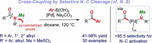 Palladium-Catalyzed Suzuki–Miyaura Cross-Coupling of N-Mesylamides by N ...