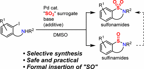 Pd-Catalyzed Selective Synthesis of Cyclic Sulfonamides and ...