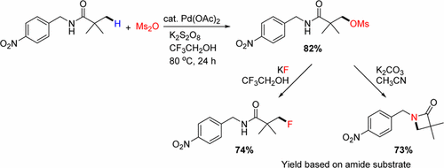 Palladium-Catalyzed β-Mesylation of Simple Amide via Primary sp3 C–H ...