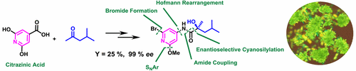 Process Development and Crystallization in Oiling-Out System of a Novel ...