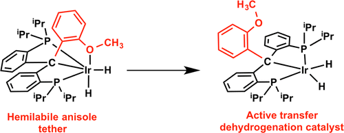 Iridium PCsp3P-type Complexes with a Hemilabile Anisole Tether ...