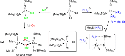 Syntheses and Characterization of Tantalum Alkyl Imides and Amide ...