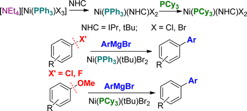 NHC /磷化氢Ni（II）混合配合物：合成及其作为ArMgX与芳基氯化物，氟化物和甲基醚的选择性交叉偶联的多功能催化剂的应用,Organometallics - X-MOL