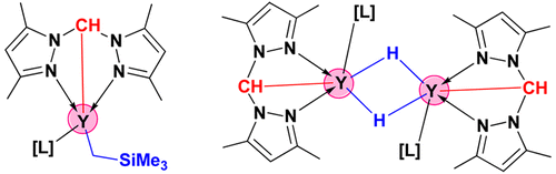Selective Intermolecular C–H Bond Activation: A Straightforward ...