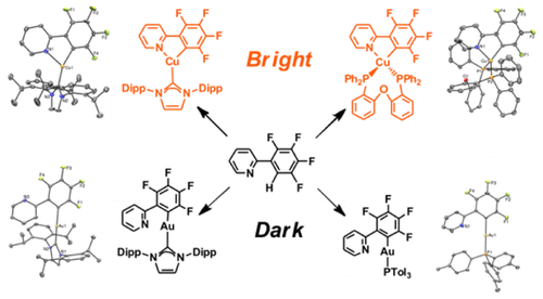 C–H Activation of Fluoroarenes: Synthesis, Structure, and Luminescence ...
