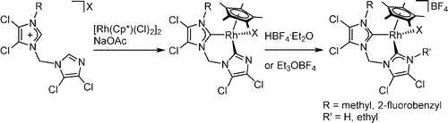 通过轻度NaOAc辅助C–H活化制备具有两个不同NHC供体的铑（III）二-NHC铑螯合物,Organometallics - X-MOL