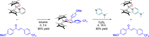 Synthesis, Cycloaddition, and Cycloreversion Reactions of Mononuclear ...