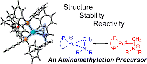 Computational Studies on an Aminomethylation Precursor: (Xantphos)Pd ...