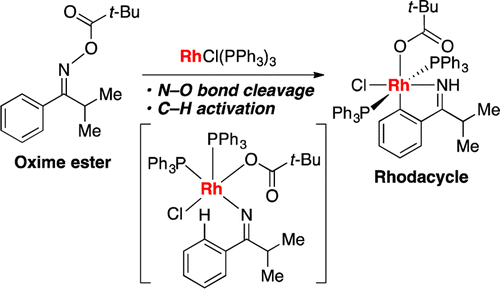 C–H Activation Induced by Oxidative Addition of N–O Bonds in Oxime ...