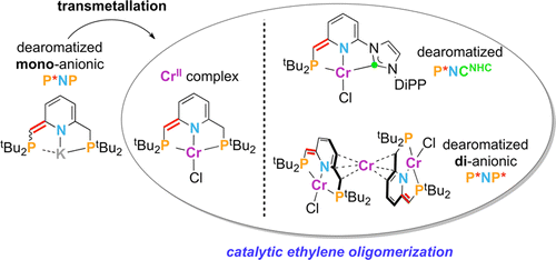 Chromium(II) Pincer Complexes with Dearomatized PNP and PNC Ligands: A ...