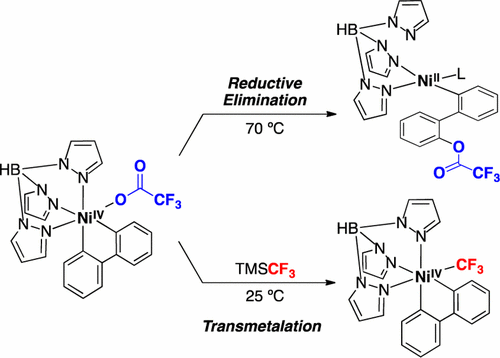 An Organometalllic NiIV Complex That Participates in Competing ...