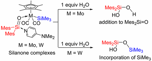 Reactions of Silanone(silyl)tungsten and -molybdenum Complexes with ...