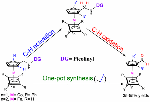 Picolinamide as a Directing Group on Metal Sandwich Compounds: sp2 C–H ...