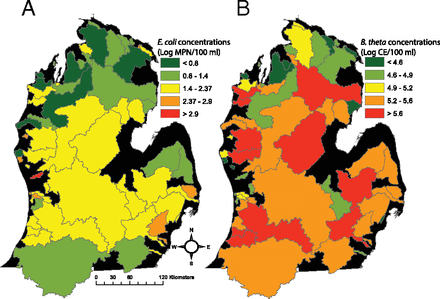 Linking fecal bacteria in rivers to landscape, geochemical, and ...