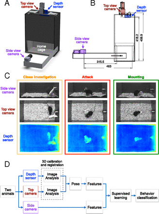 Automated measurement of mouse social behaviors using depth sensing, video tracking, and machine ...