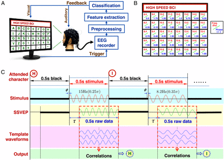 High-speed spelling with a noninvasive brain-computer interface ...