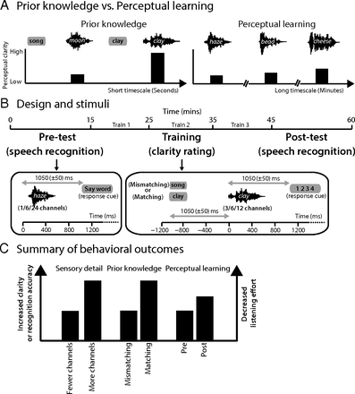 Perceptual learning of degraded speech by minimizing prediction error ...